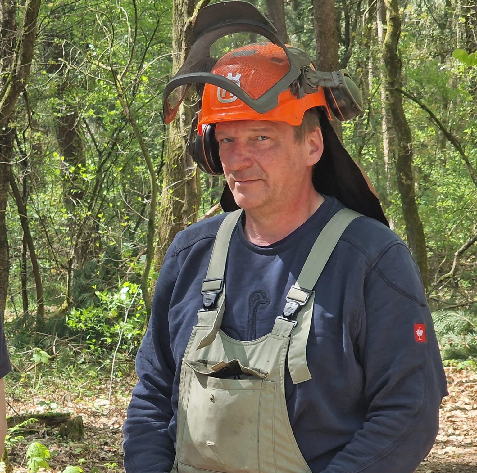 Mario GrassMann - A one man stump cutting army | Read his story